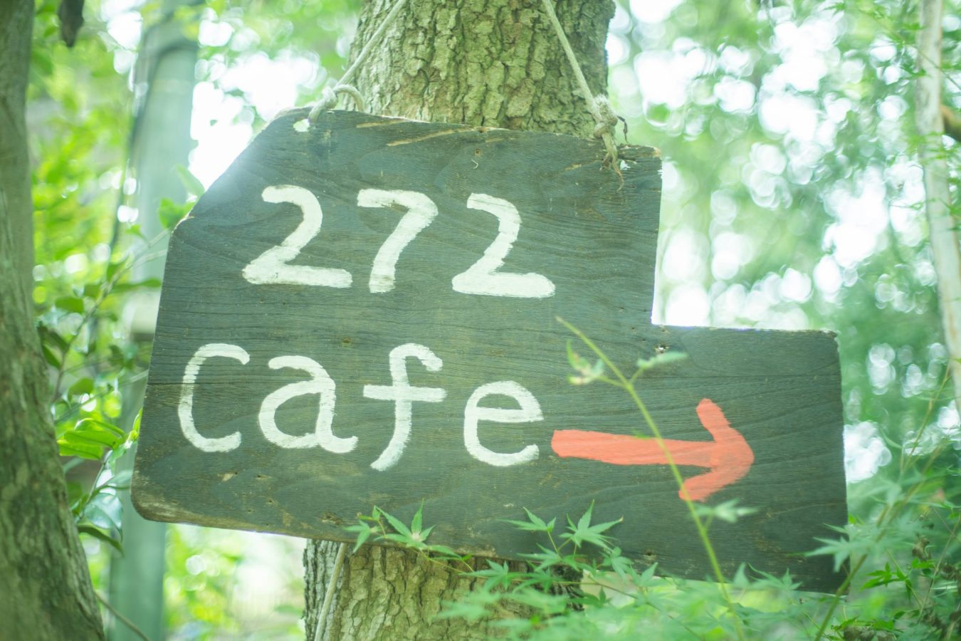 自然豊かなお庭に癒される深谷カフェ♪「UEKIYA CAFE 272」 | 深谷アウトレット周辺の観光スポット情報｜VEGETABLE THEME PARK FUKAYA｜深谷市